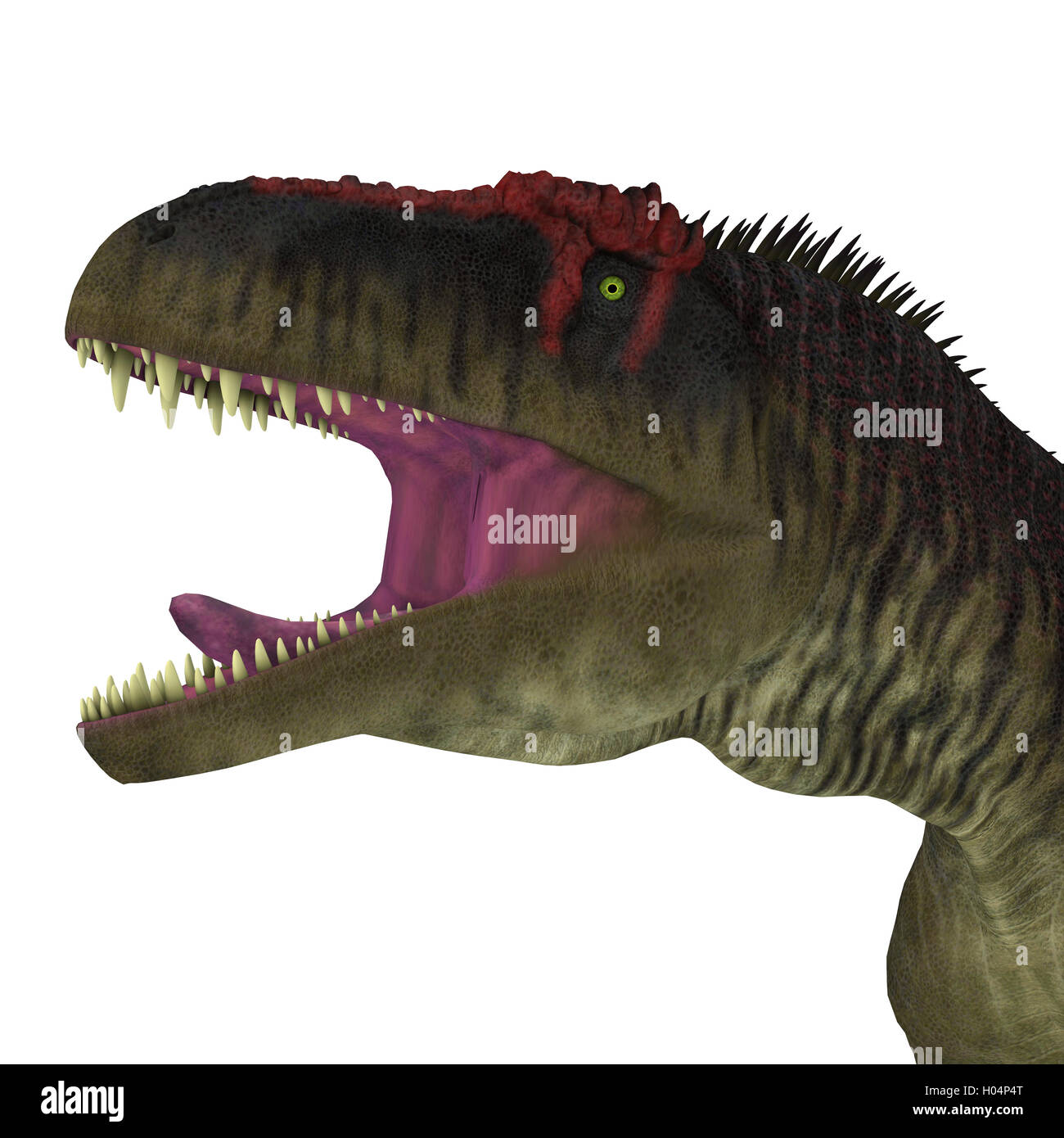 Tyrannotitan Vs Tyrannosaurus