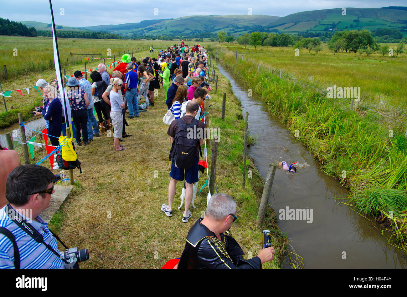 International Bog Snorkelling Championships, Llanwrtyd Wells, Wales ...