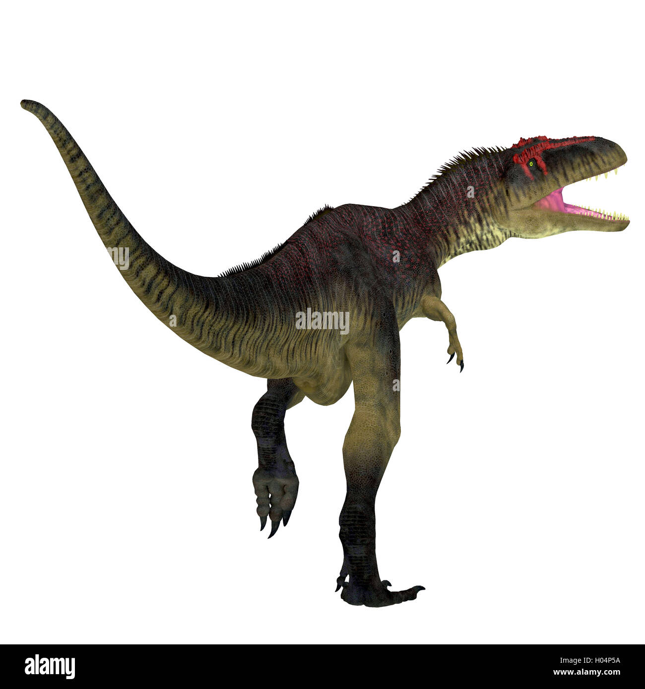 Tyrannotitan dinosaur Cut Out Stock Images & Pictures - Alamy