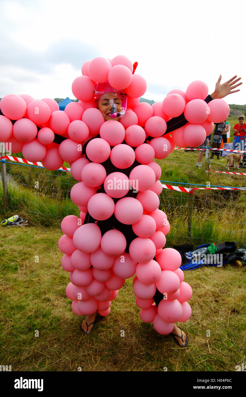 International Bog Snorkelling Championships, Llanwrtyd Wells, Wales Stock Photo - Alamy