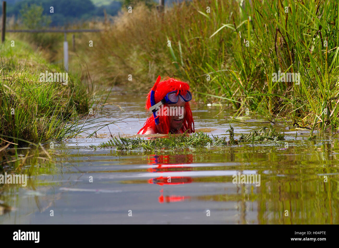 International Bog Snorkelling Championships, Llanwrtyd Wells, Wales ...
