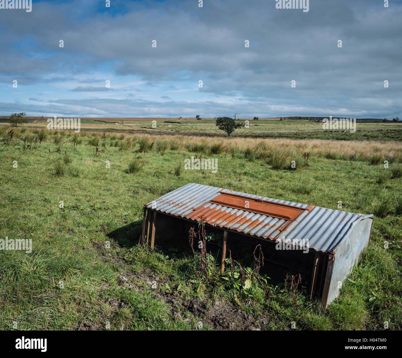 Corrugated animal feeder hi-res stock photography and images - Alamy