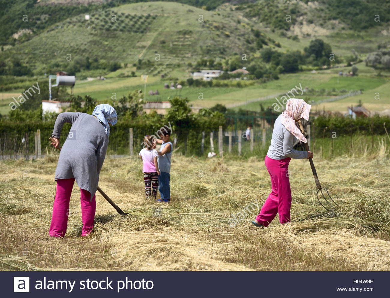 Agriculturalists Stock Photos & Agriculturalists Stock Images - Alamy