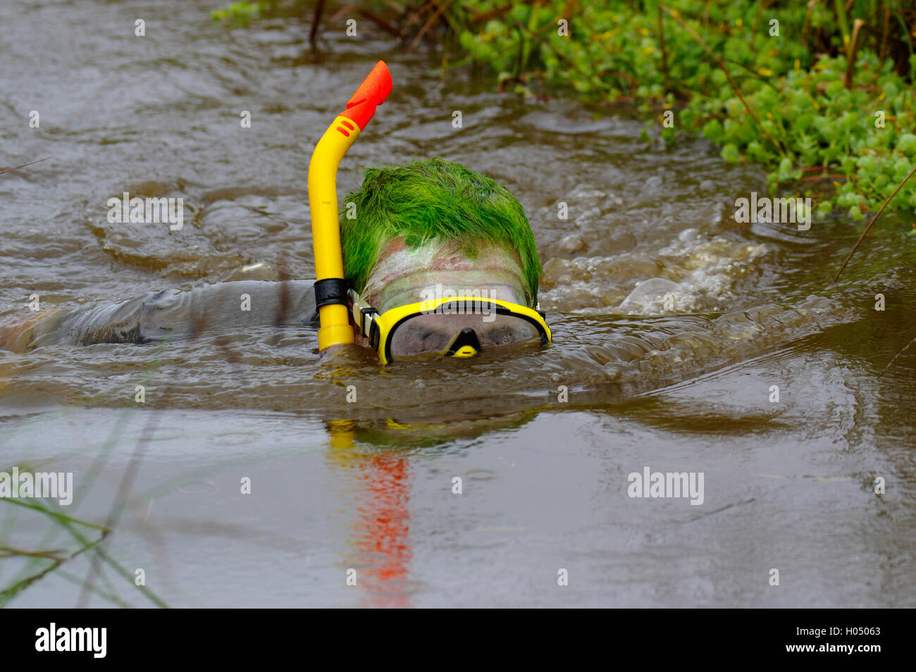 International Bog Snorkelling Championships, Llanwrtyd Wells, Wales ...
