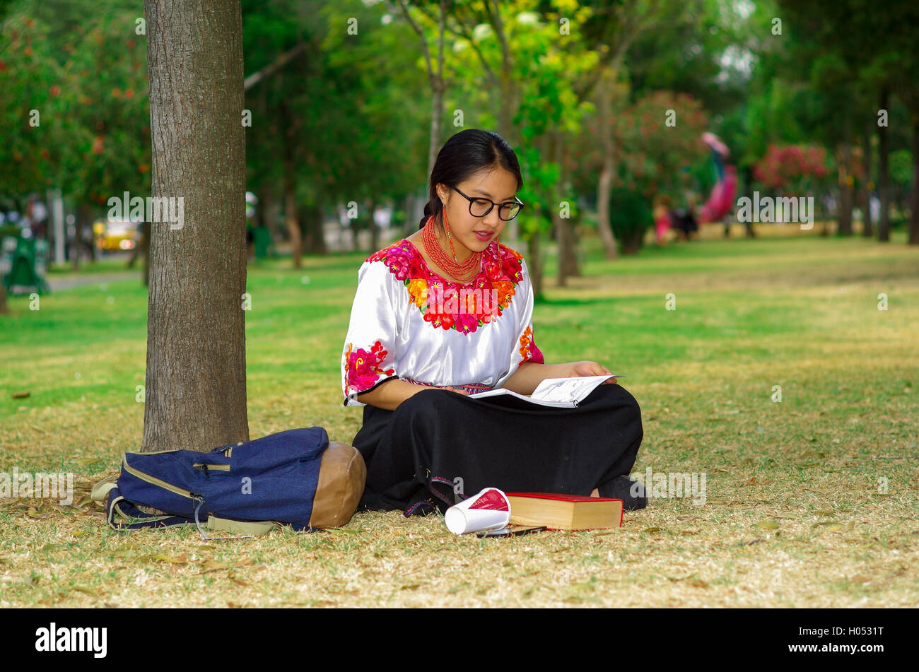 Young woman wearing traditional glasses, andean skirt and blouse with ...
