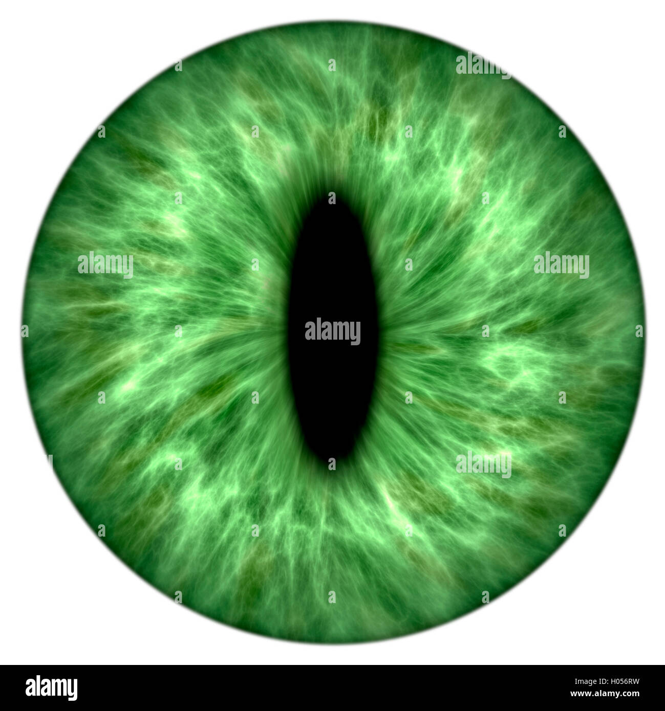 green animal iris Stock Photo - Alamy