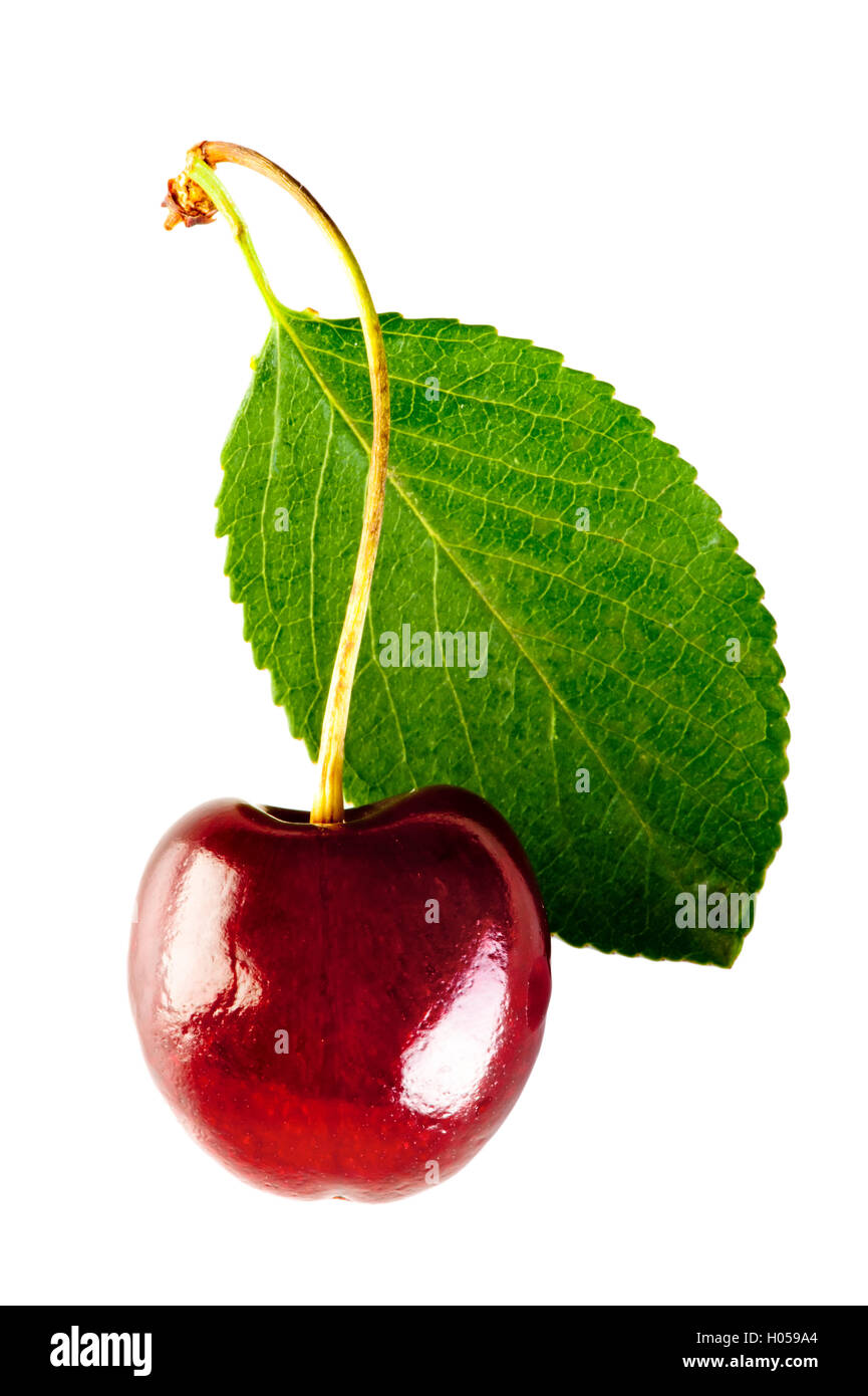 Shiny cherry hi-res stock photography and images - Alamy
