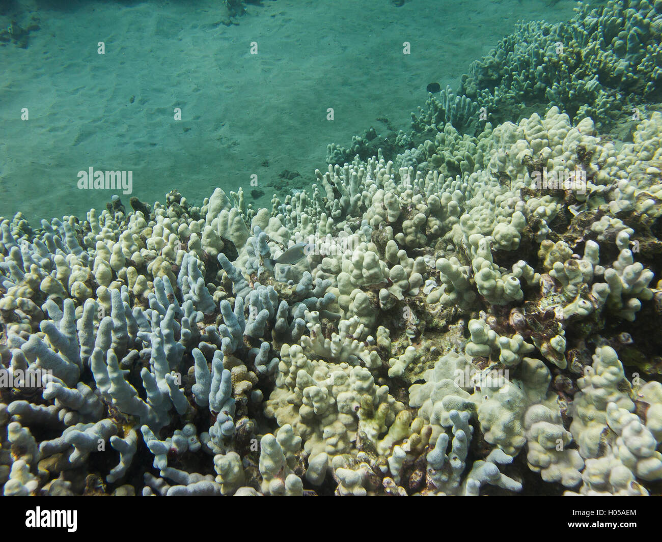 Lone crystal hi-res stock photography and images - Alamy