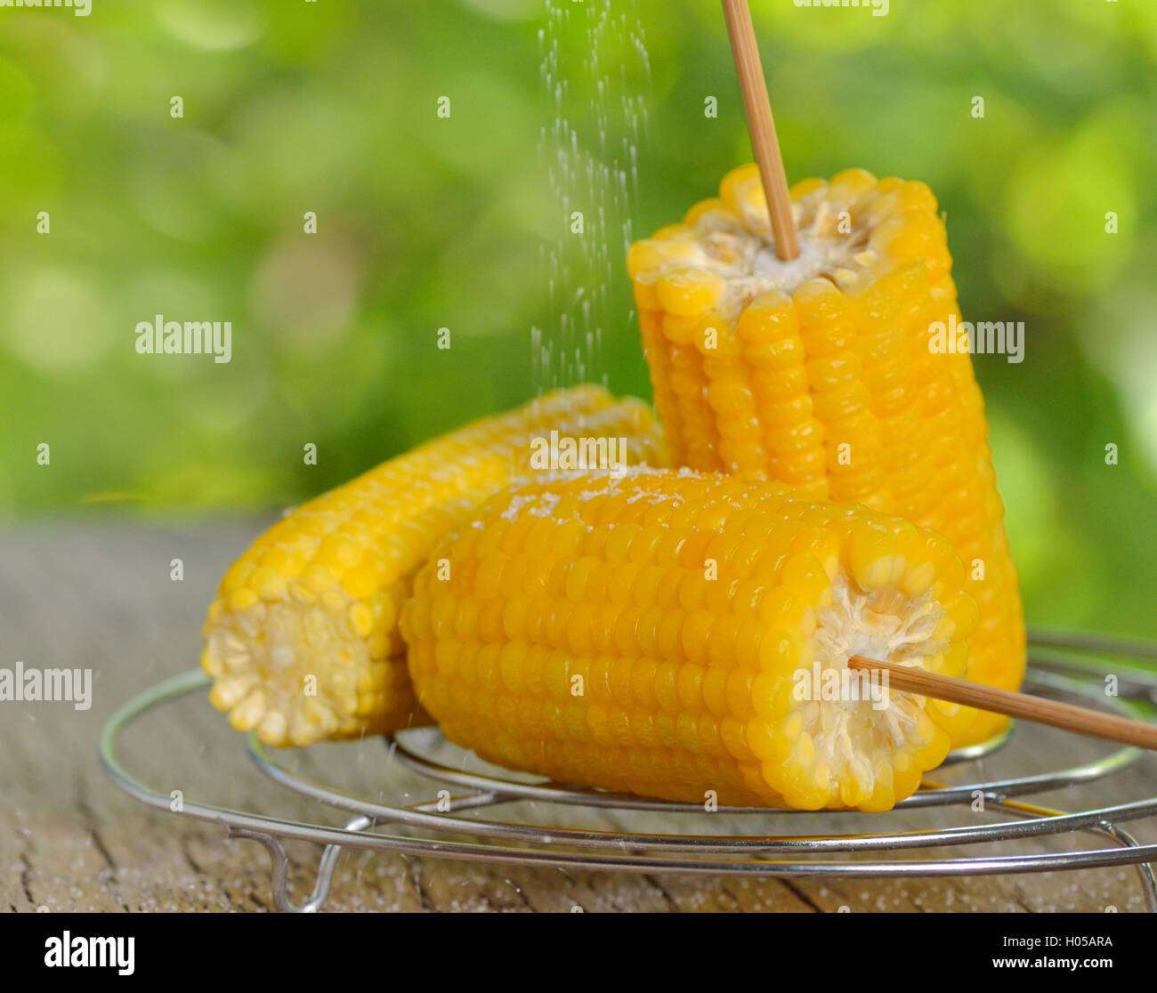Corn meal isolated hi-res stock photography and images - Alamy