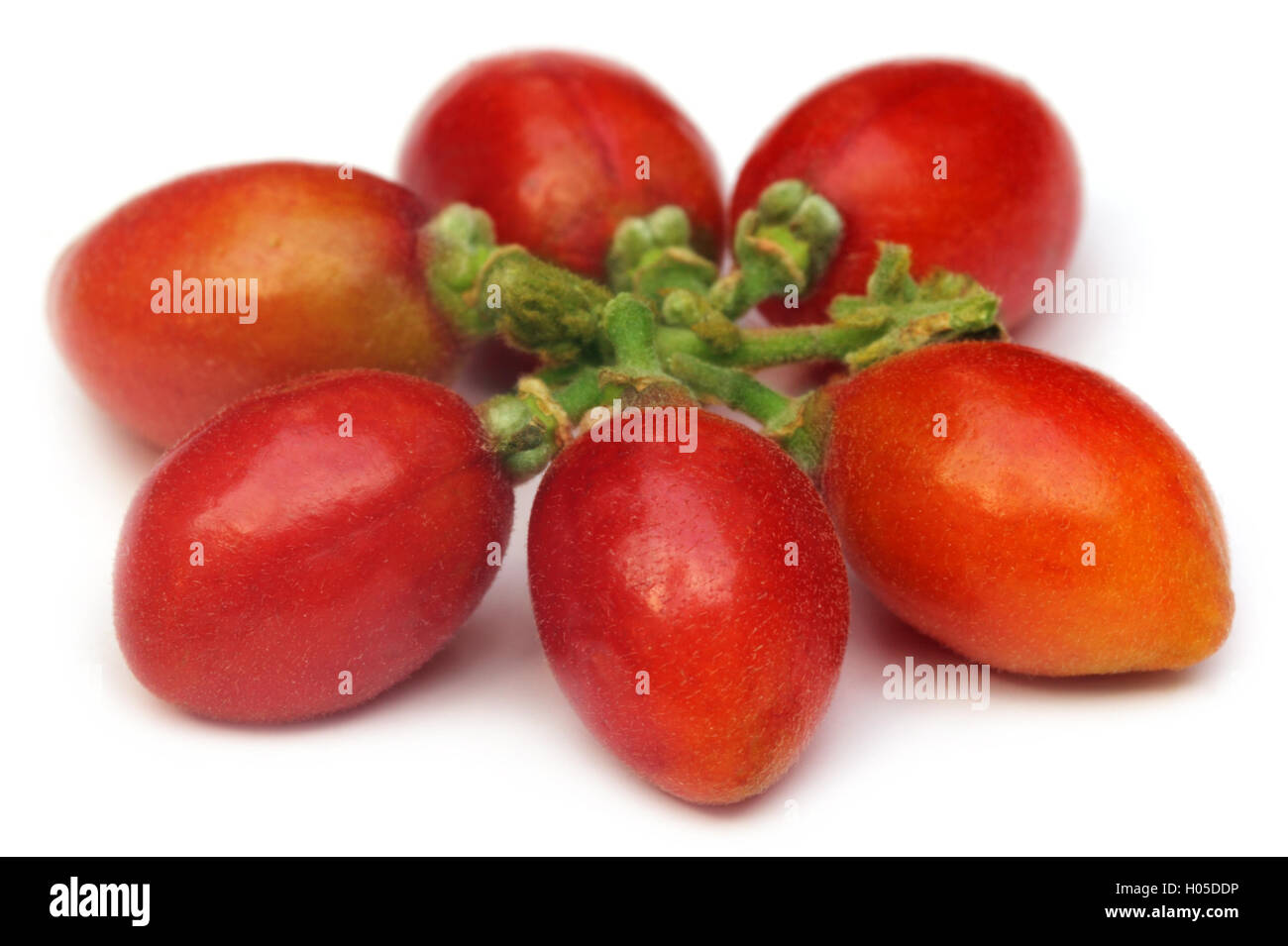 Polyalthia hi-res stock photography and images - Alamy