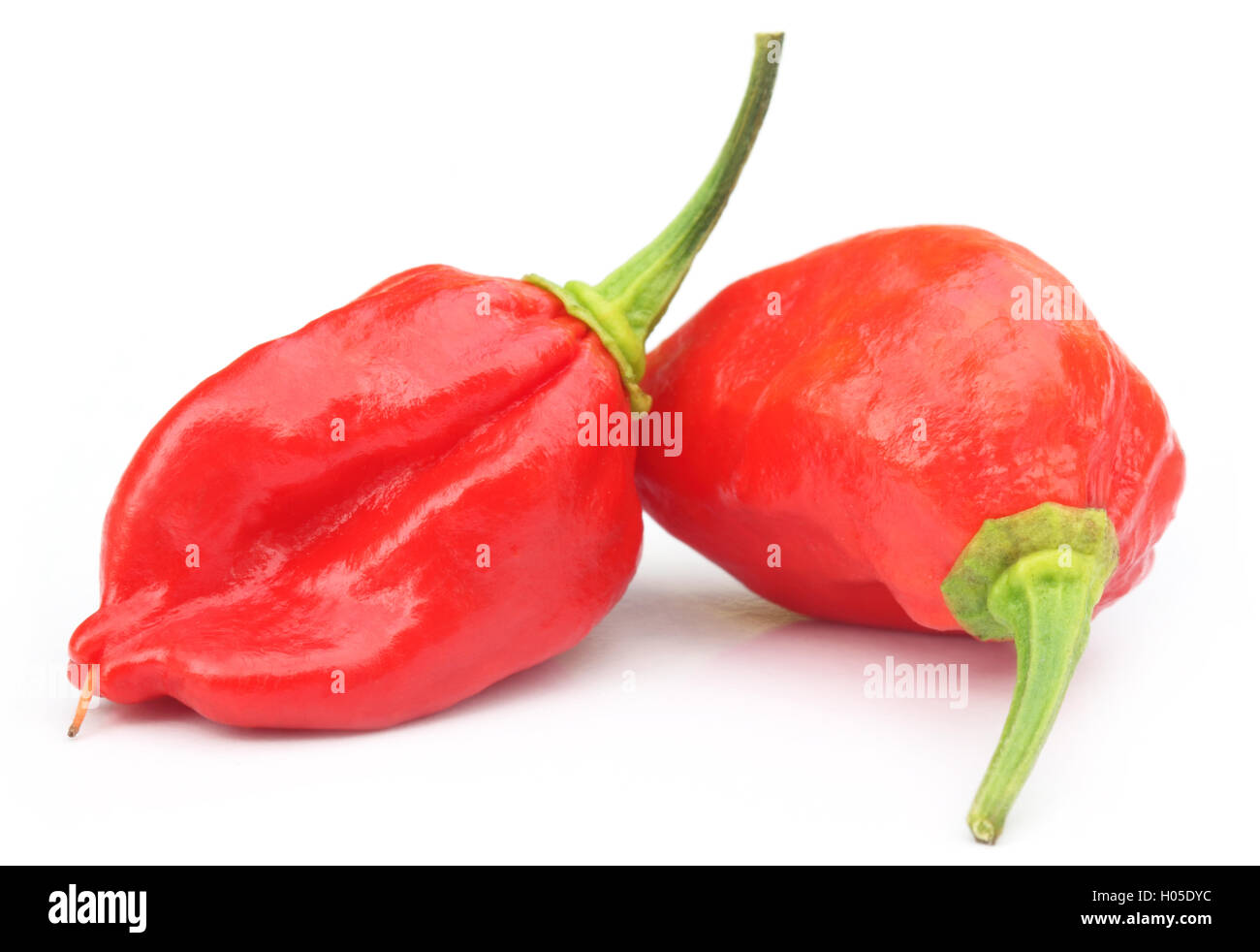 Bombay morich Cut Out Stock Images & Pictures - Alamy