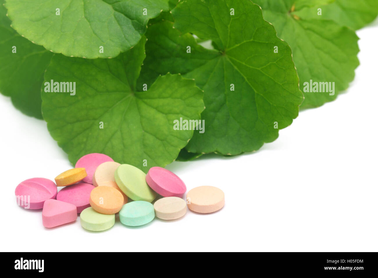 Medicinal thankuni leaves with pills Stock Photo - Alamy