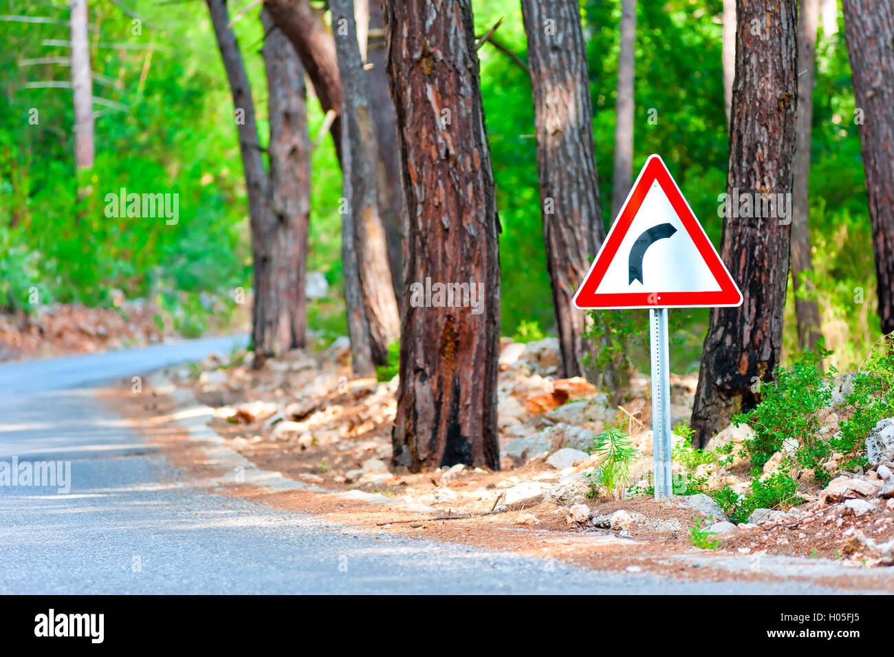 White traffic sign green leaves hi-res stock photography and images - Alamy