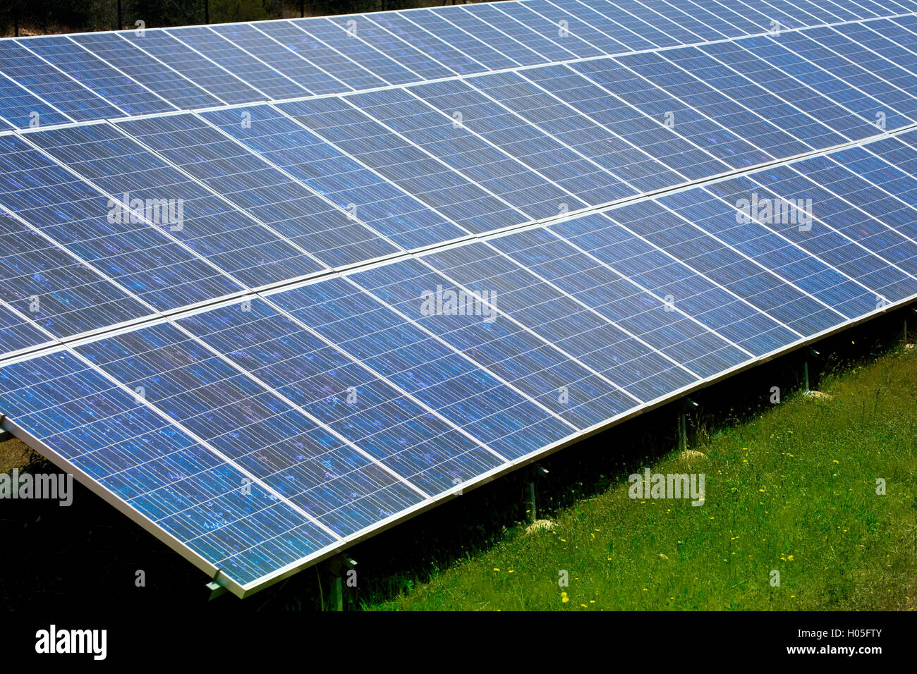 Solar plates for green sun energy Stock Photo - Alamy