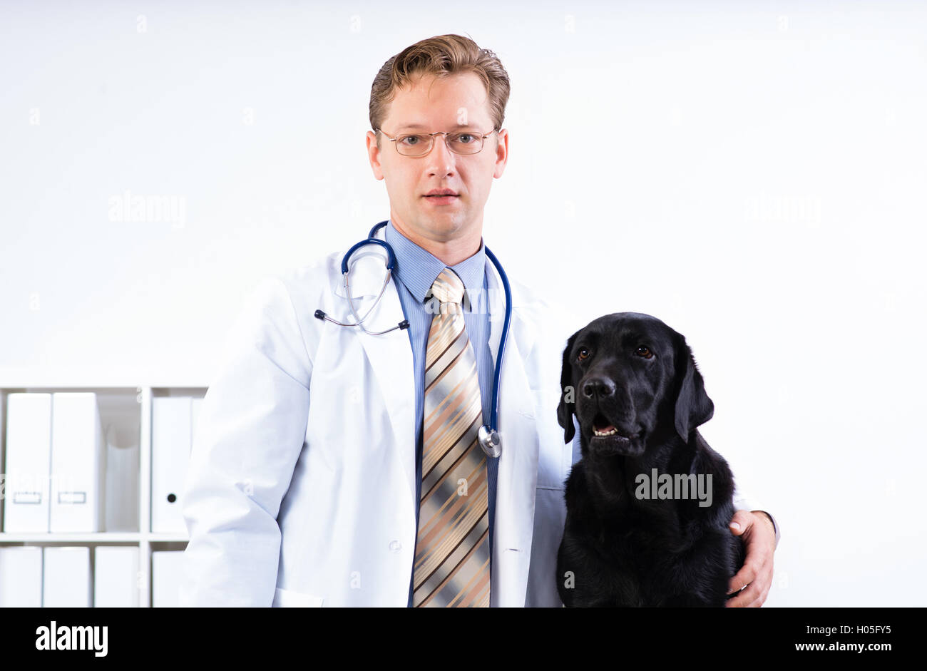 portrait of a veterinarian Stock Photo - Alamy