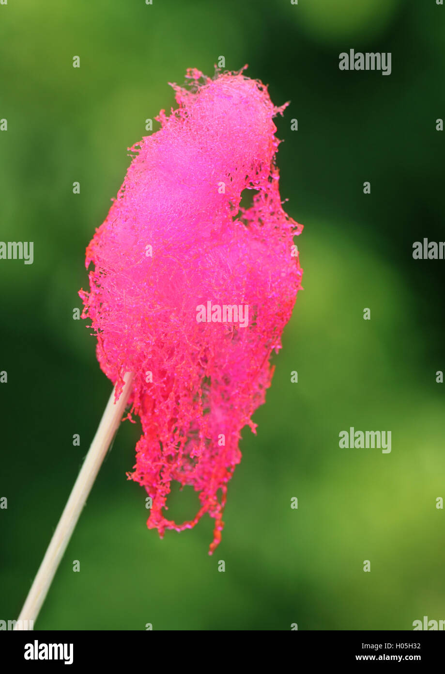 Cotton candy on stick Stock Photo - Alamy