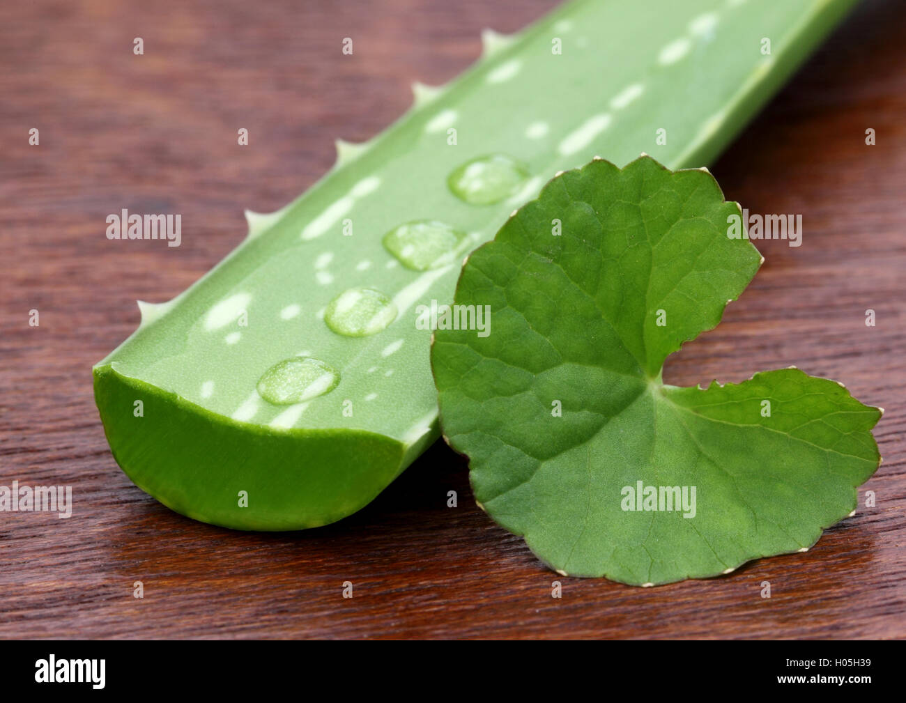 Thankuni hi-res stock photography and images - Alamy