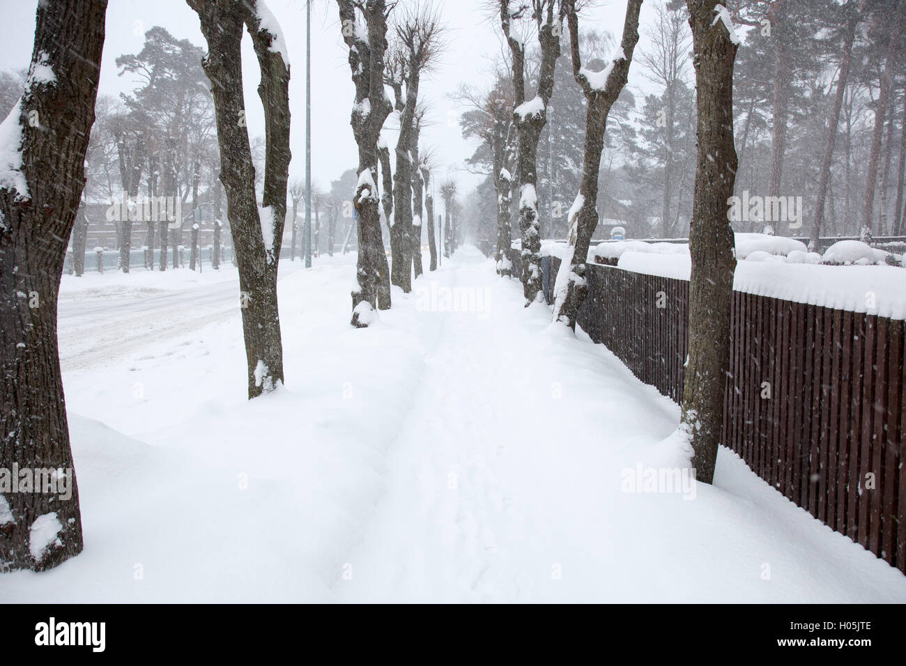 Beautiful cold winter hi-res stock photography and images - Alamy
