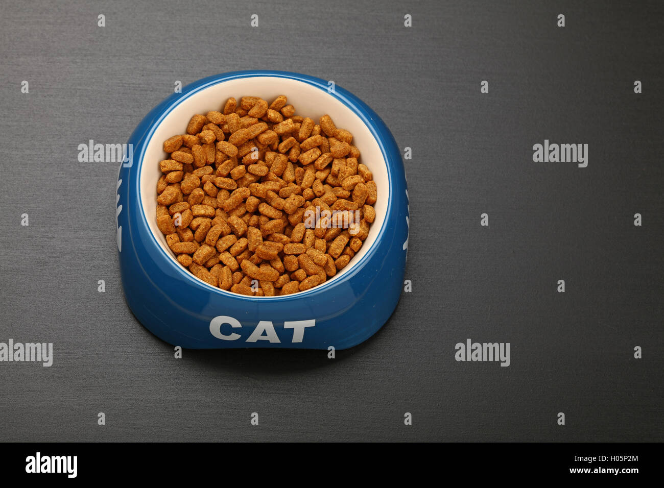 Brown dry cat food in blue and white ceramic bowl with cat word on ...