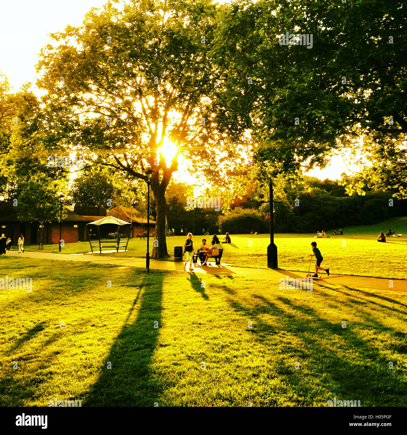 Summer rays hi-res stock photography and images - Alamy