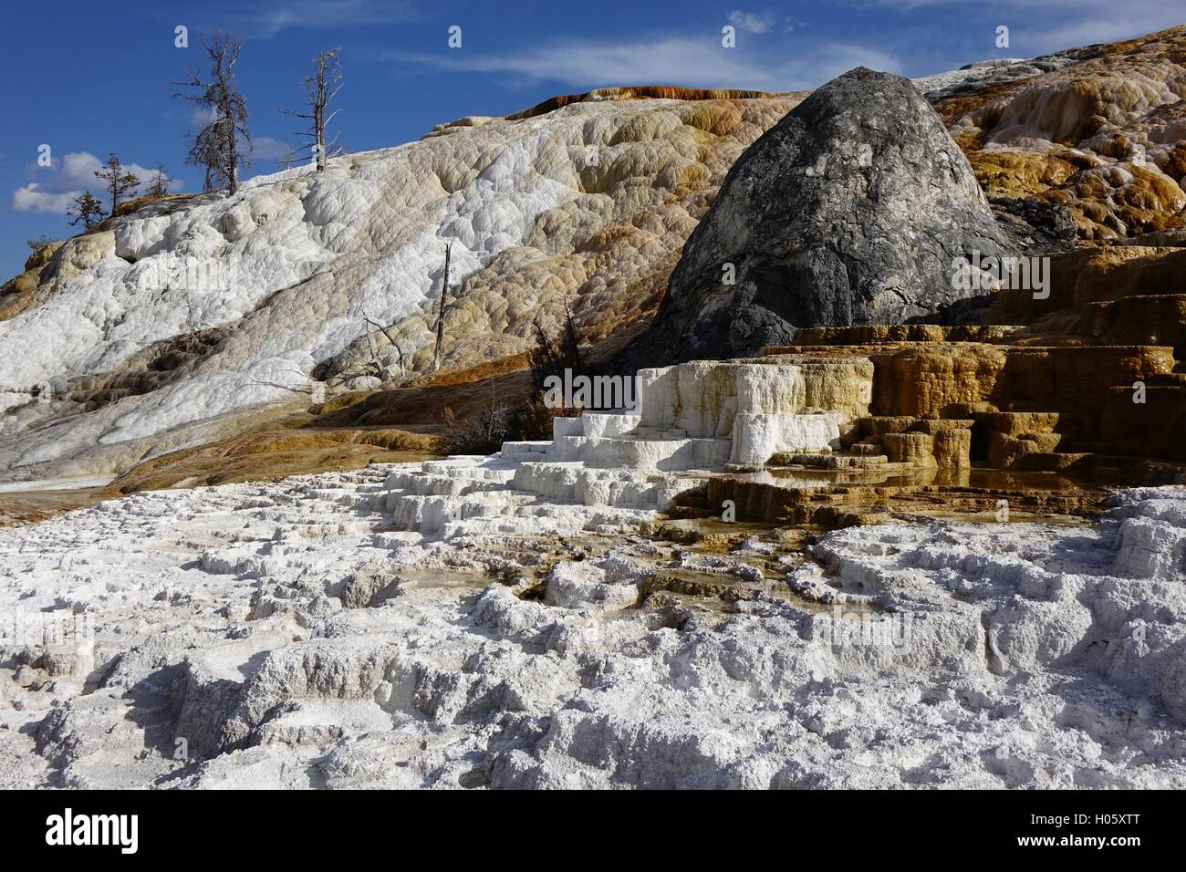 Lower terraces, Mammoth Hot Springs, Yellowstone National Park Stock ...