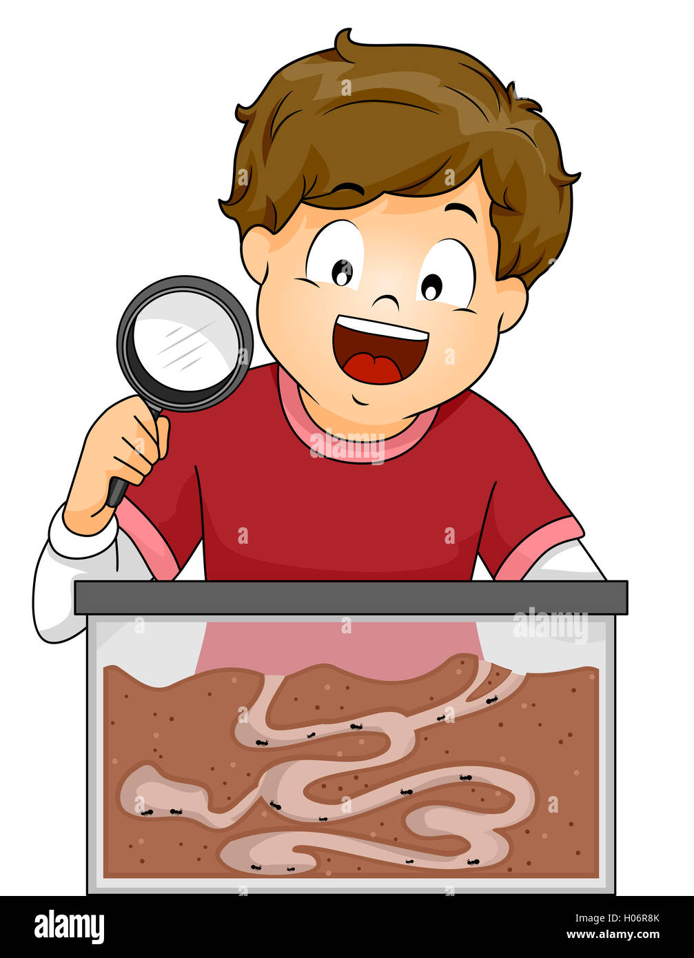 Ant colony illustration hi-res stock photography and images - Alamy