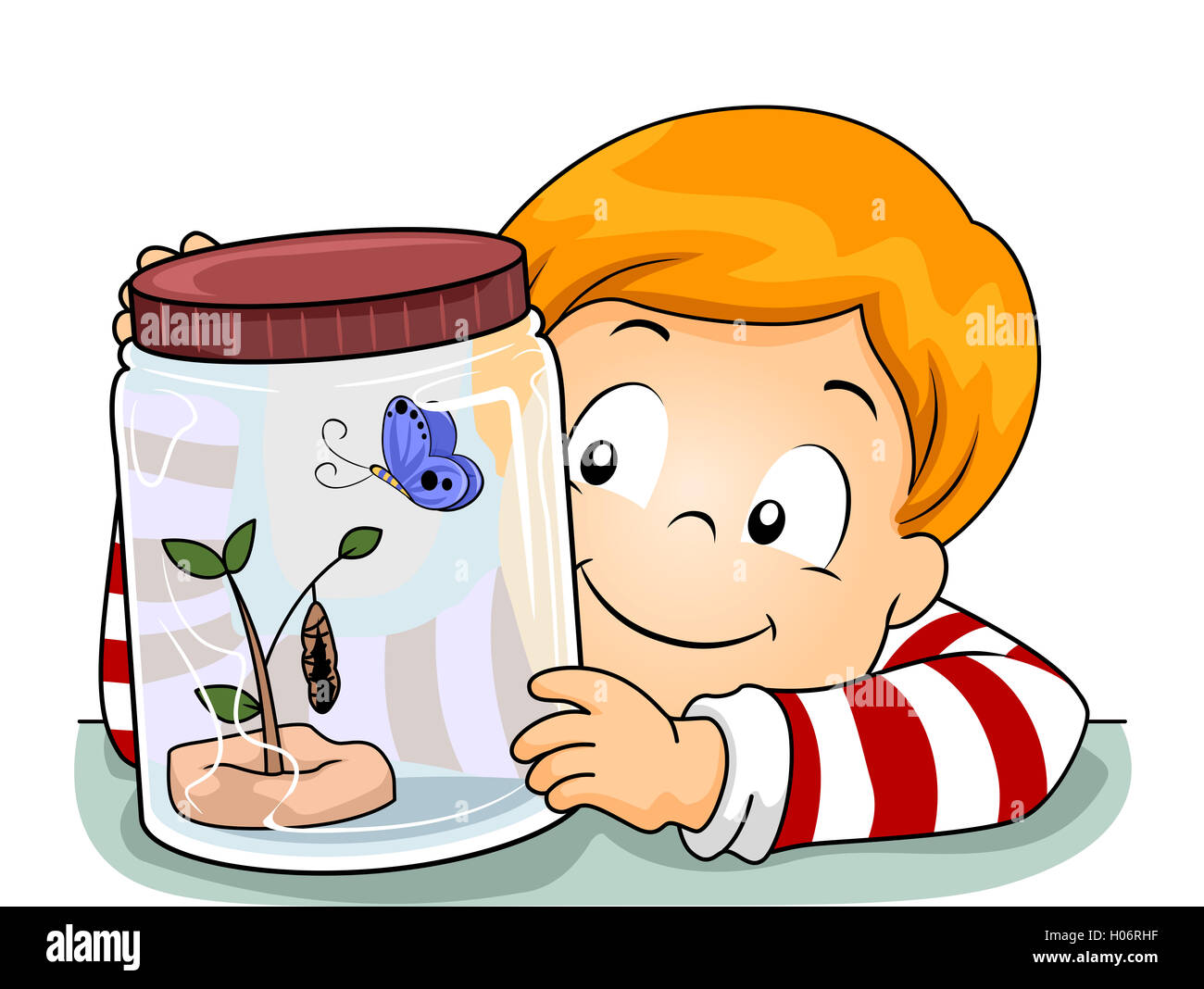 Illustration of a Little Boy Observing the Life Cycle of a Butterfly ...