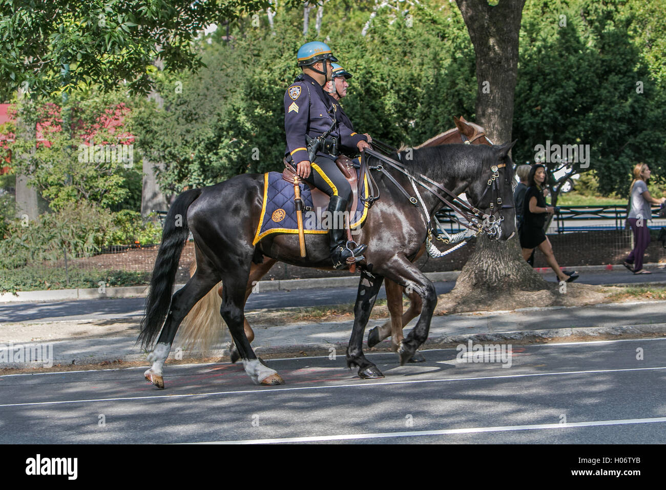 Horse mounted police in Central Park Stock Photo - Alamy