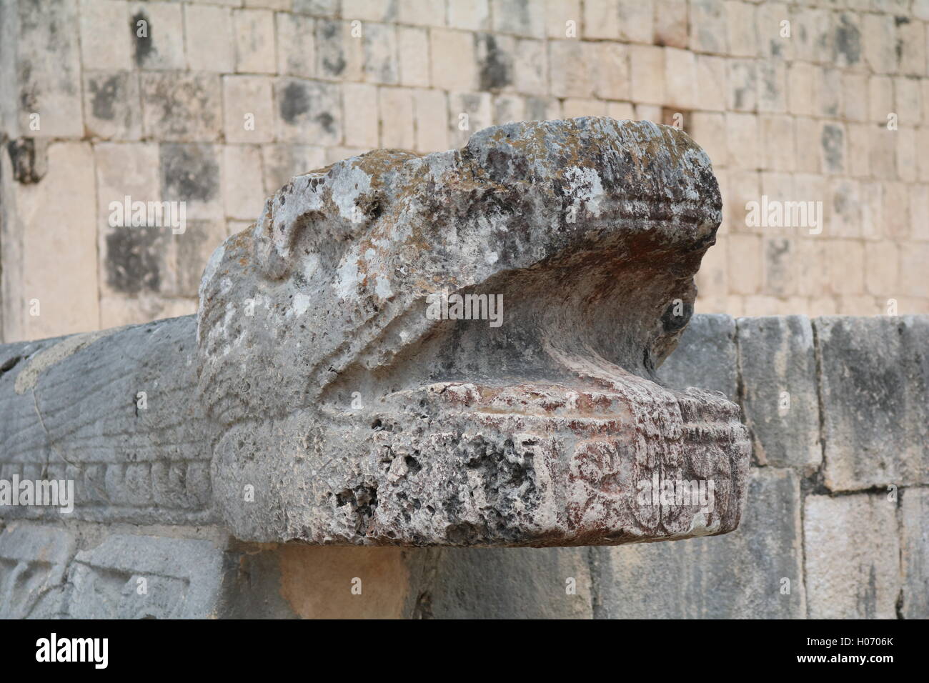Close up of Aztec Snake Head Stock Photo - Alamy