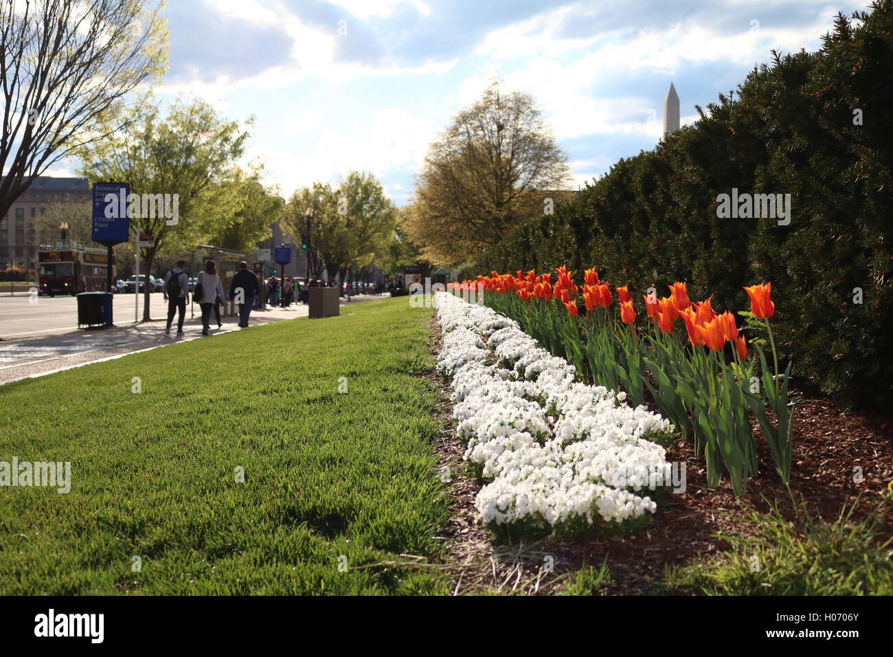 Flowers found at the botanical gardens in DC Stock Photo - Alamy