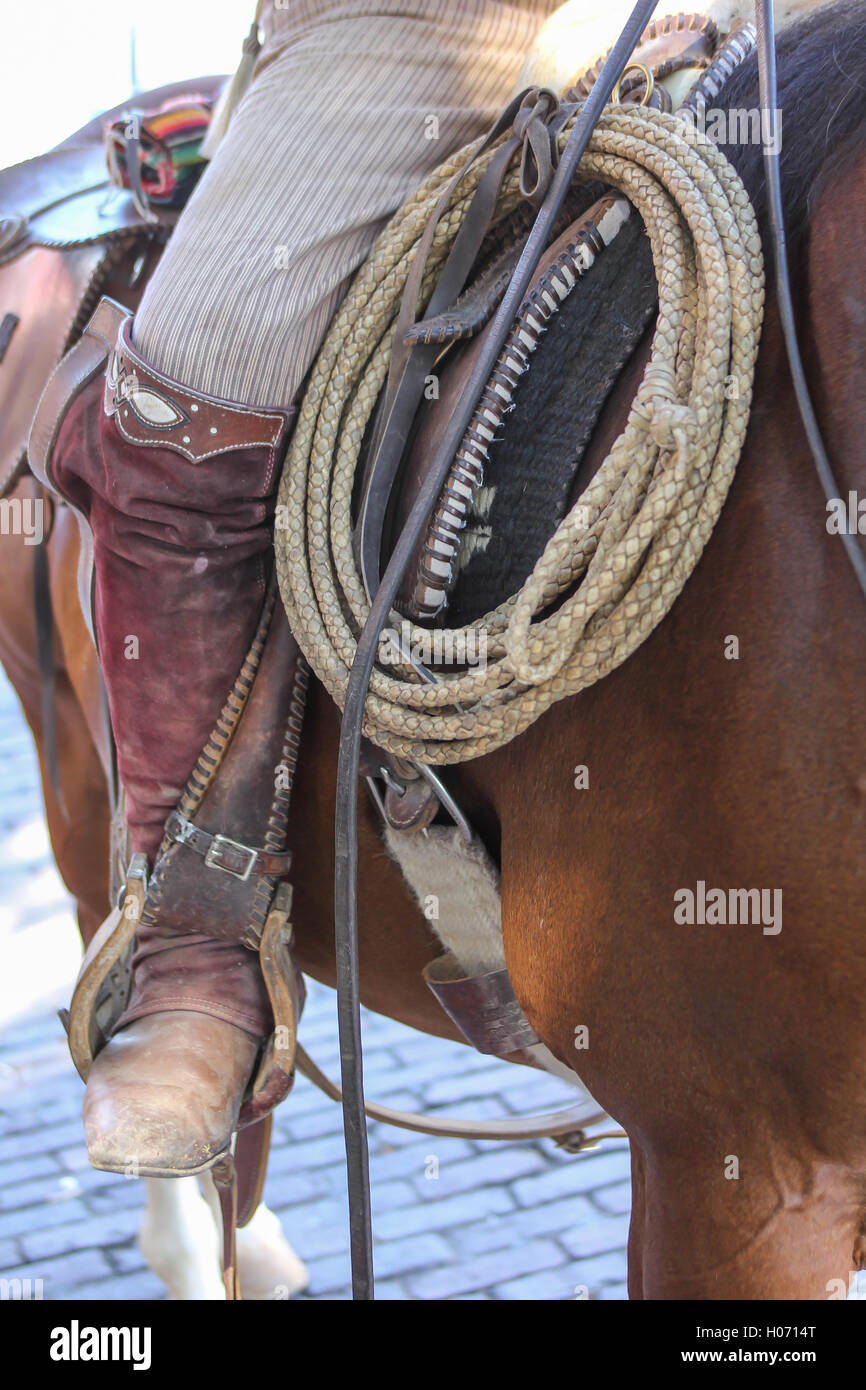 2016 Vaquero, Cowboy riding horse at a rodeo in Ft. Worth, Texas Stock ...