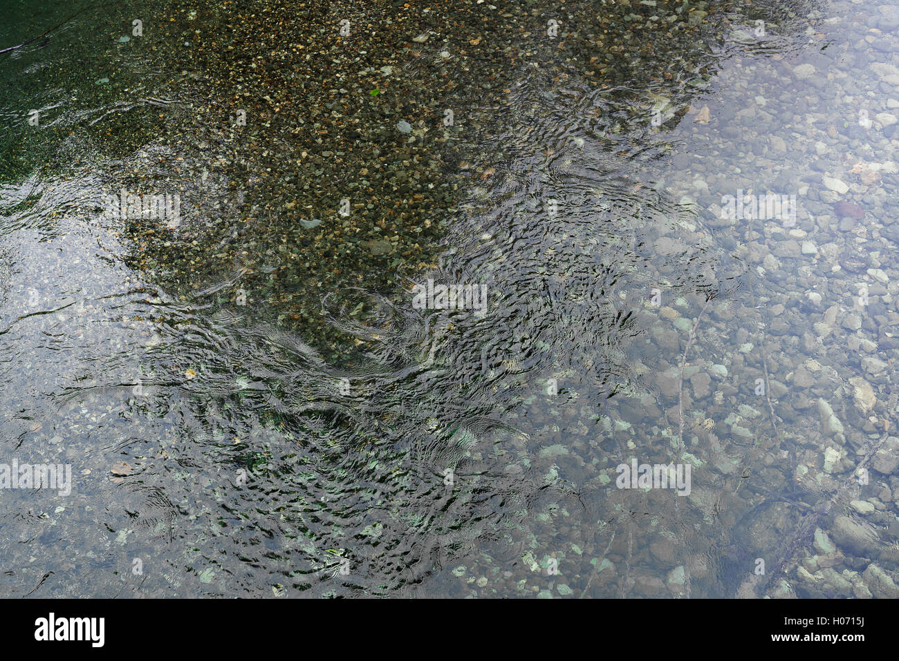 Pebbles in stream hi-res stock photography and images - Alamy