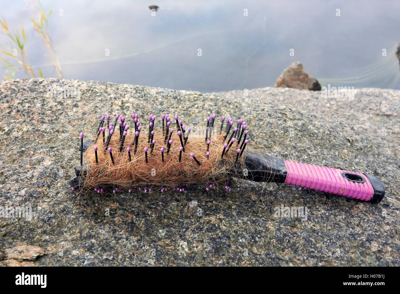 hairbrush with lost hair Stock Photo - Alamy