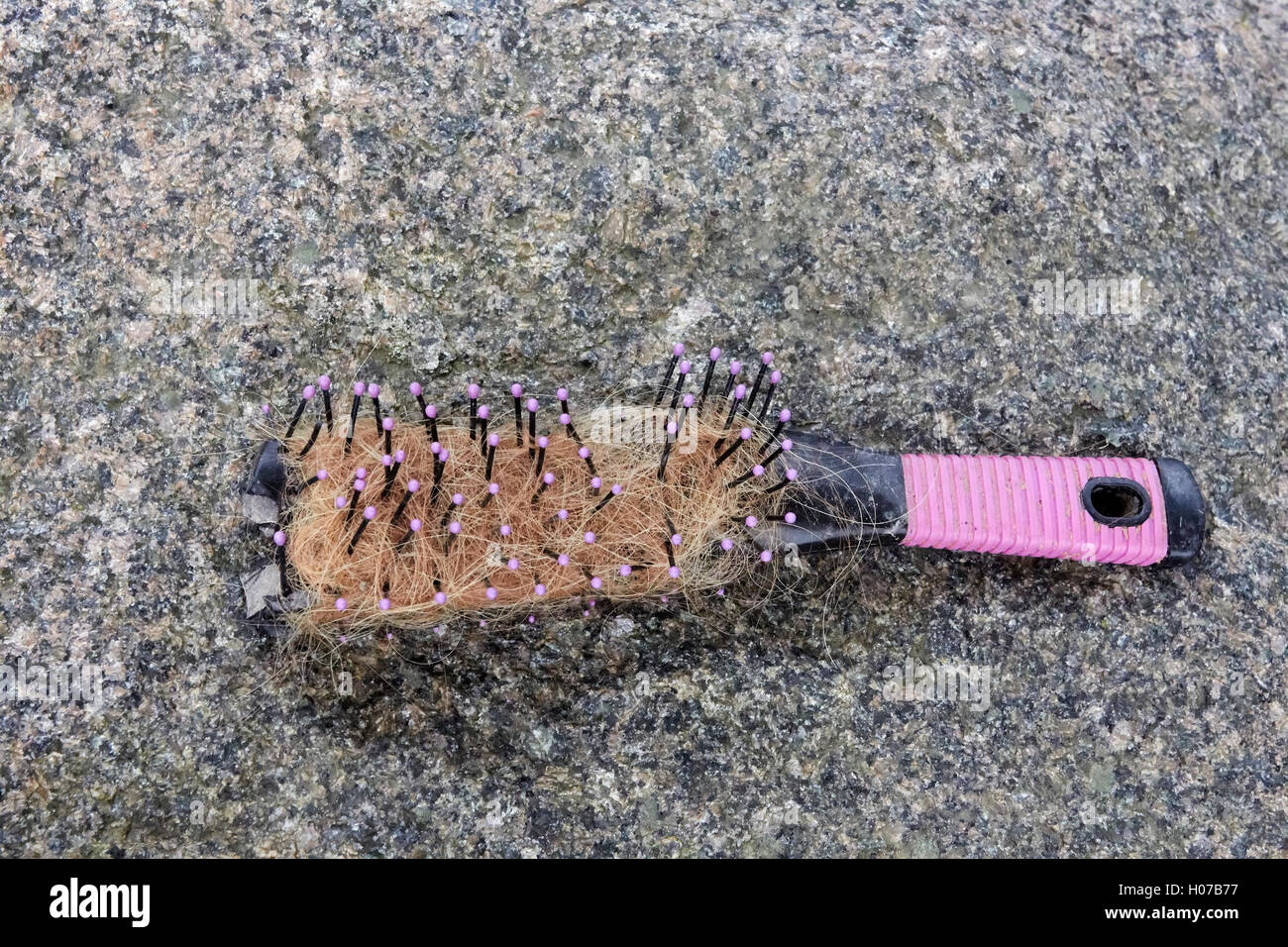 hairbrush with lost hair Stock Photo - Alamy