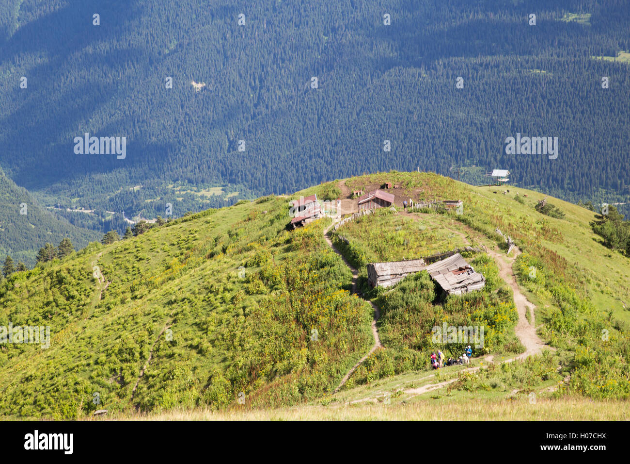 mountains, green, peaks, Georgia, Svanetia Stock Photo - Alamy