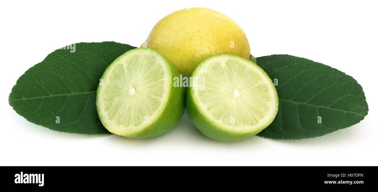 Lemon pulp texture hi-res stock photography and images - Alamy