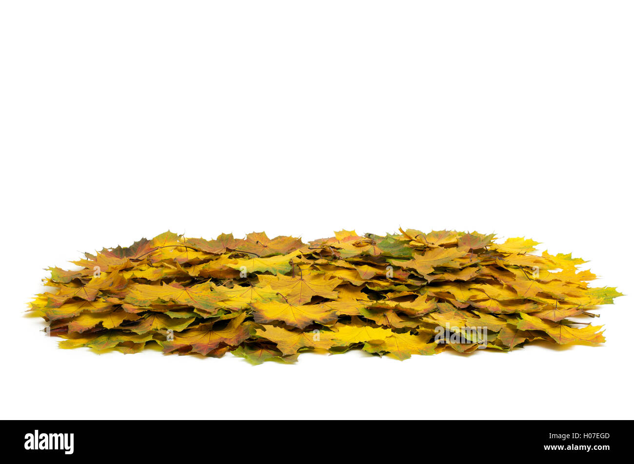 Seasonal autumn background pattern Cut Out Stock Images & Pictures - Alamy