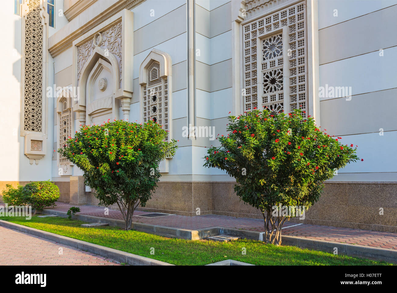 Trees on the background of a mosque in Sharjah Stock Photo - Alamy