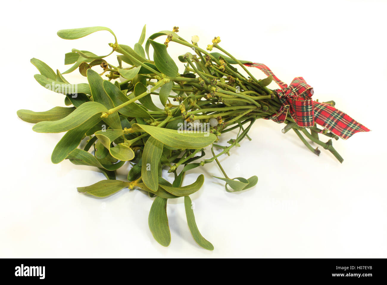 Twig of mistletoe hi-res stock photography and images - Alamy
