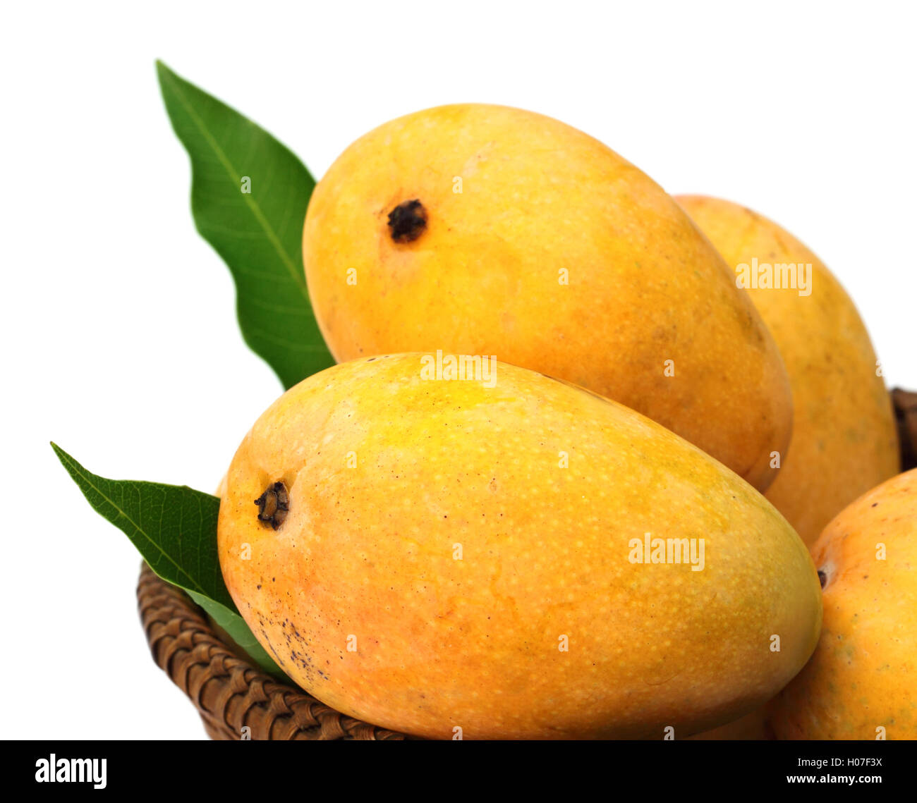 Fresh Mangoes with green leaves Stock Photo - Alamy