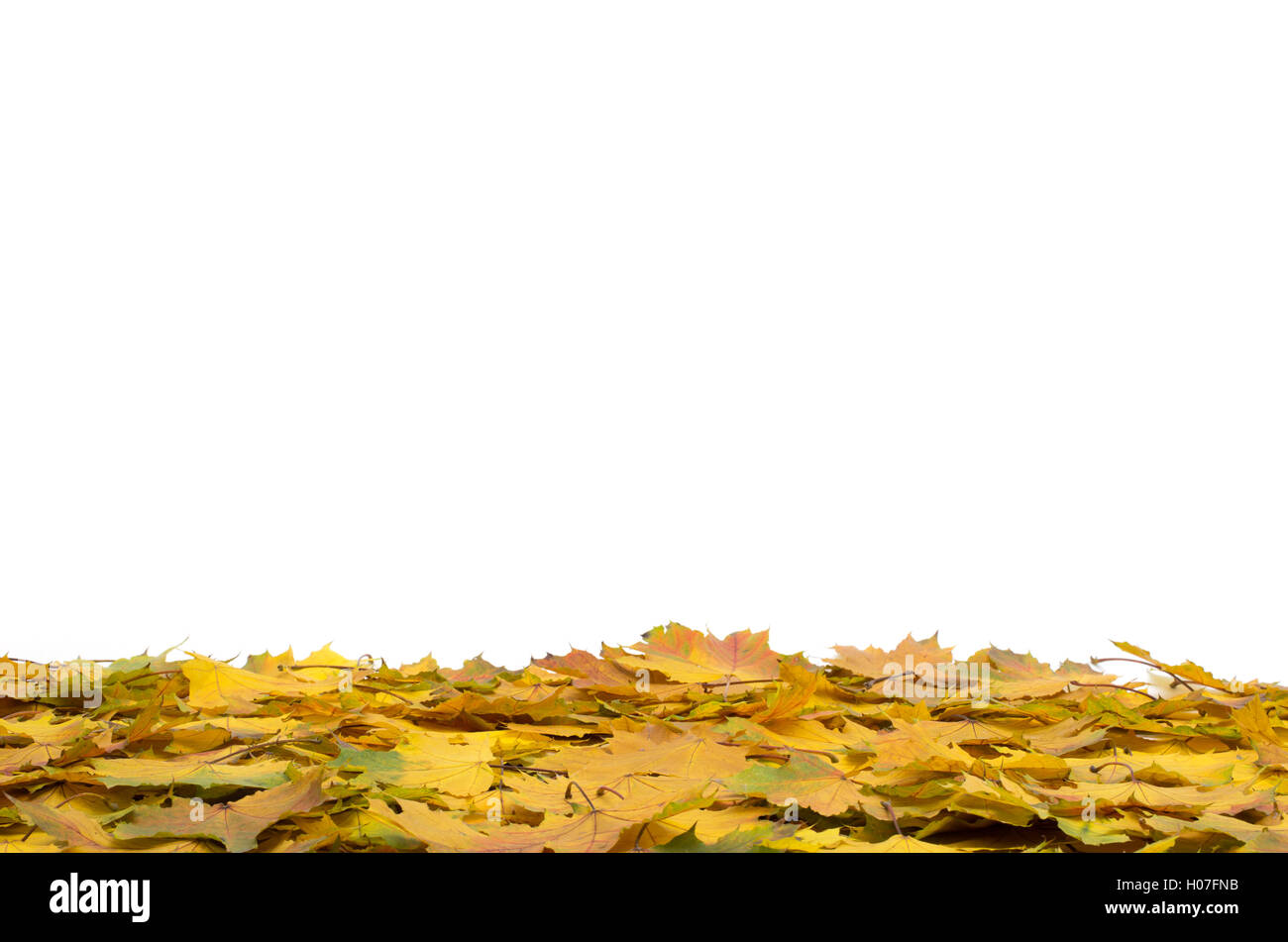 Autumn leaf forest border hi-res stock photography and images - Alamy