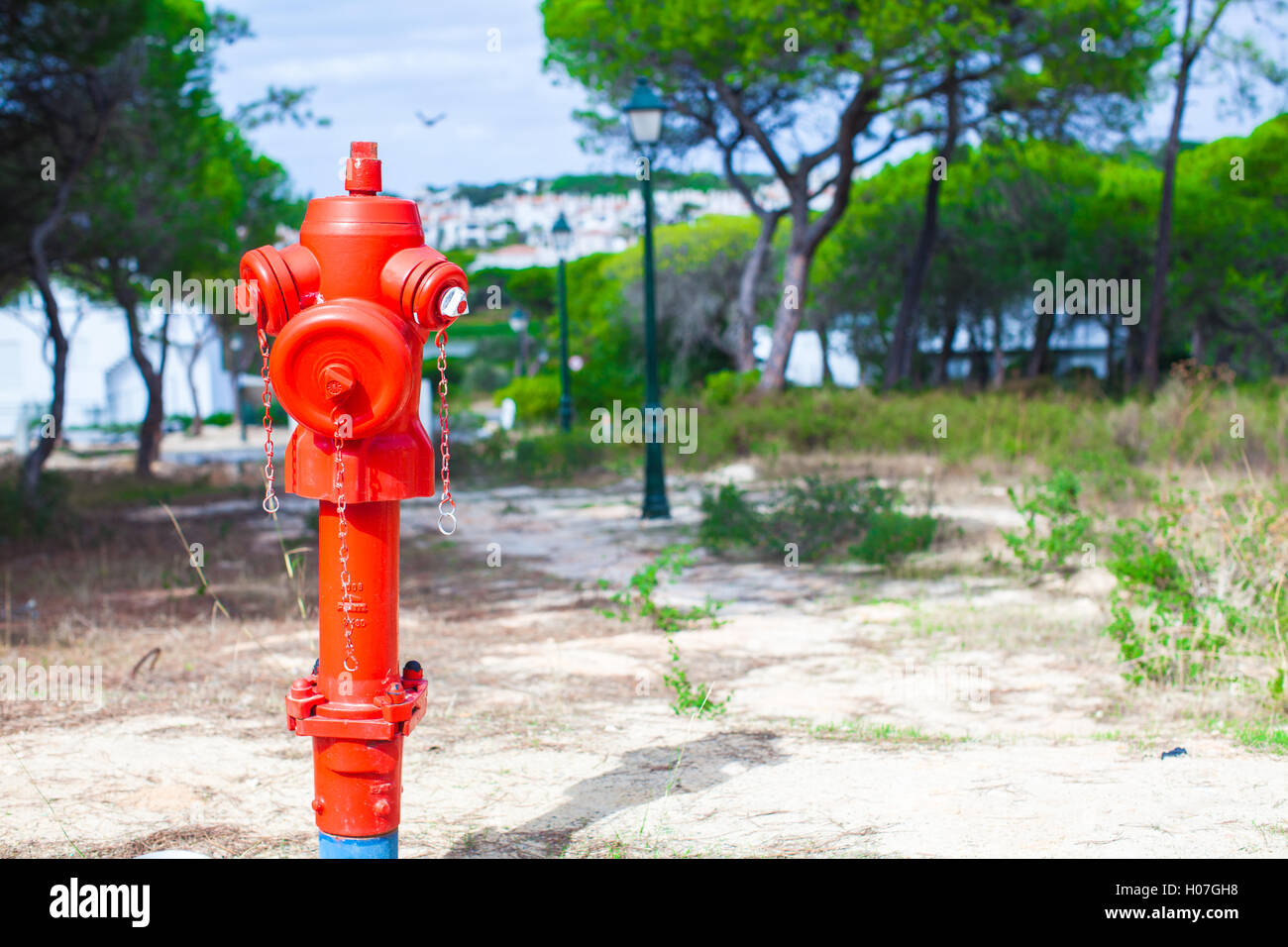Red Fire hydrant on nature in Europe Stock Photo - Alamy