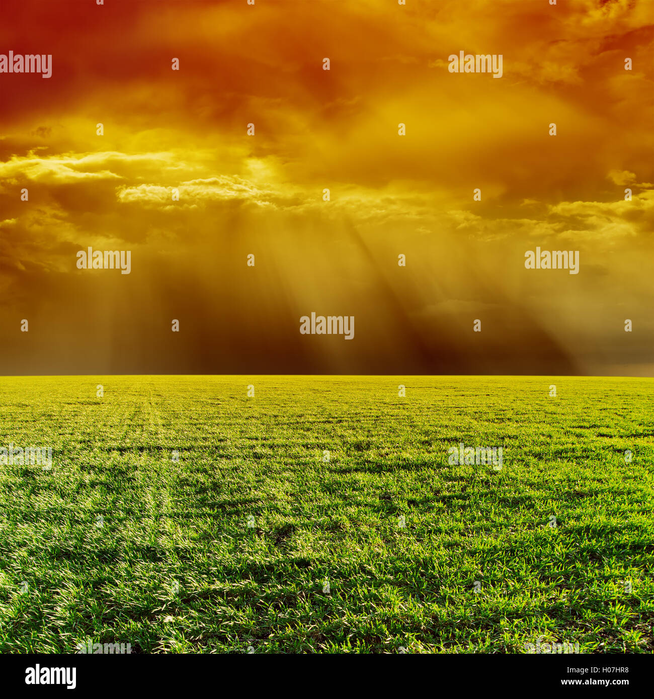 orange dramatic sky over green field Stock Photo - Alamy
