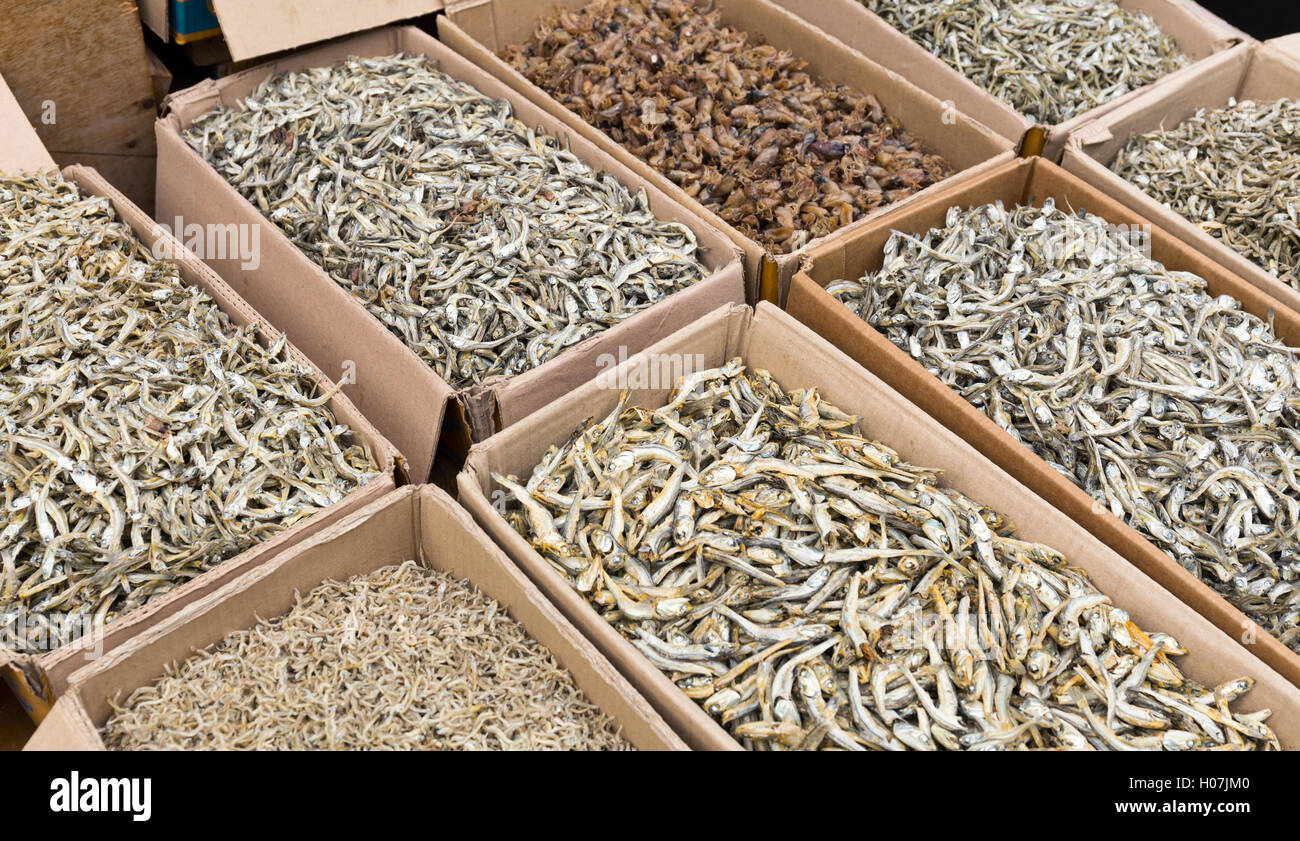 Dried small anchovy fish Stock Photo - Alamy