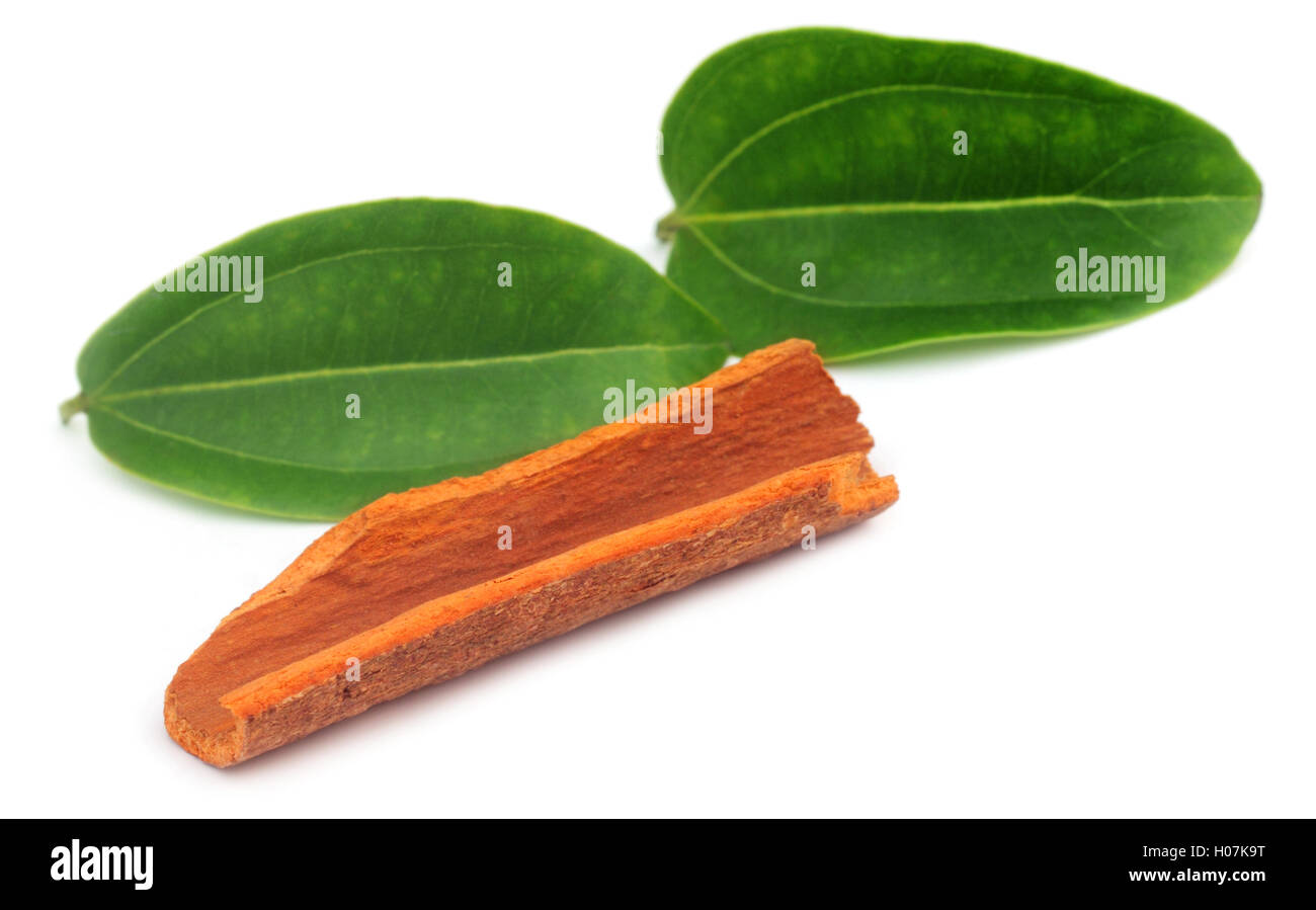 Edible bark Cut Out Stock Images & Pictures - Alamy