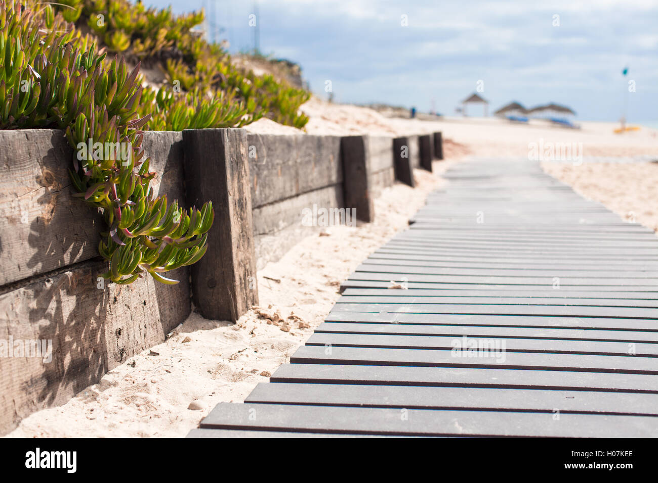 Close-up view of a wood board walk in the beach Stock Photo - Alamy