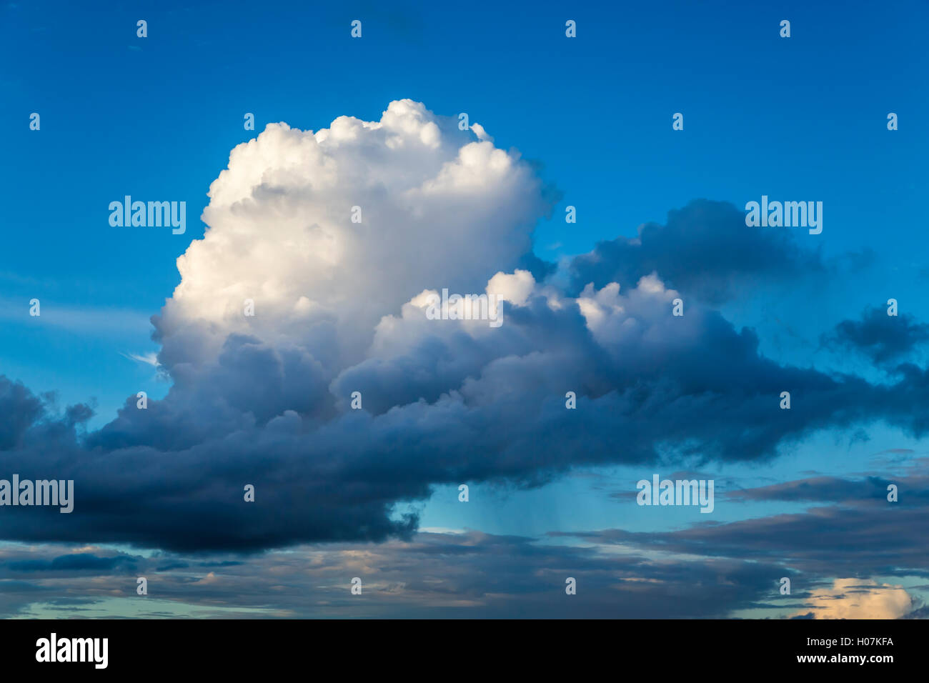 Corn field and sky with clouds hi-res stock photography and images - Alamy
