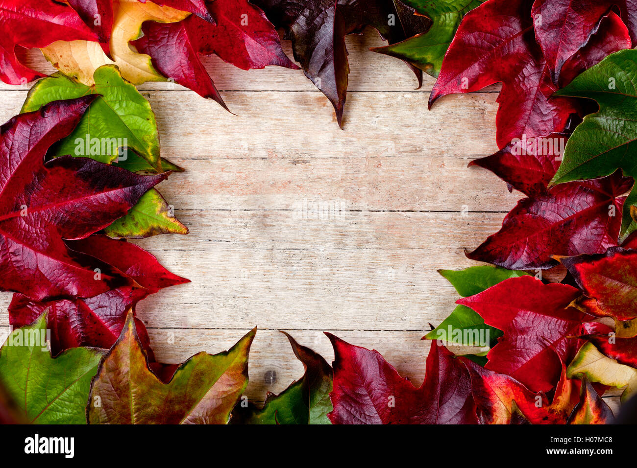 frame of autumn leaves Stock Photo - Alamy