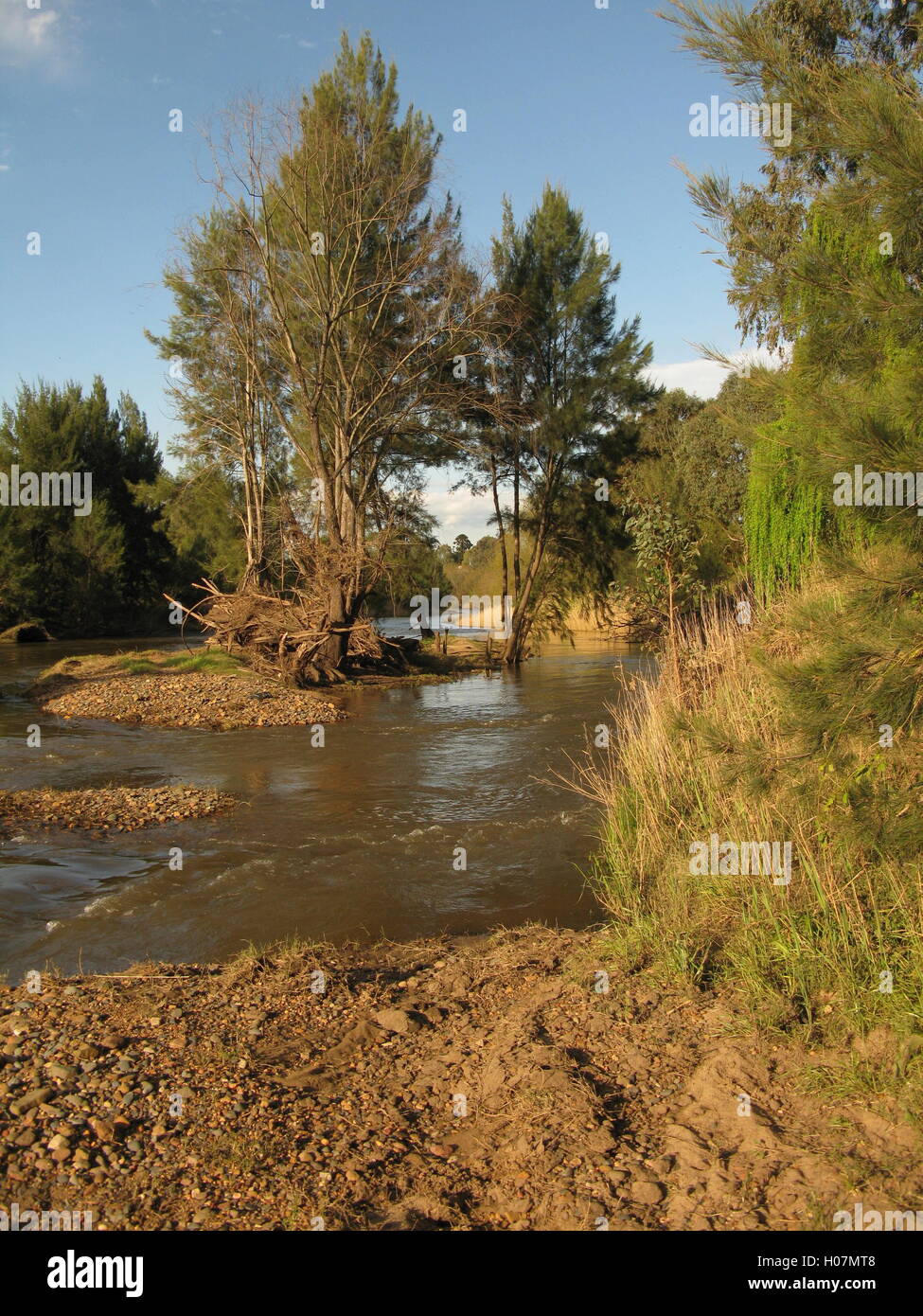 Hunter River, Singleton, New South Wales Stock Photo - Alamy