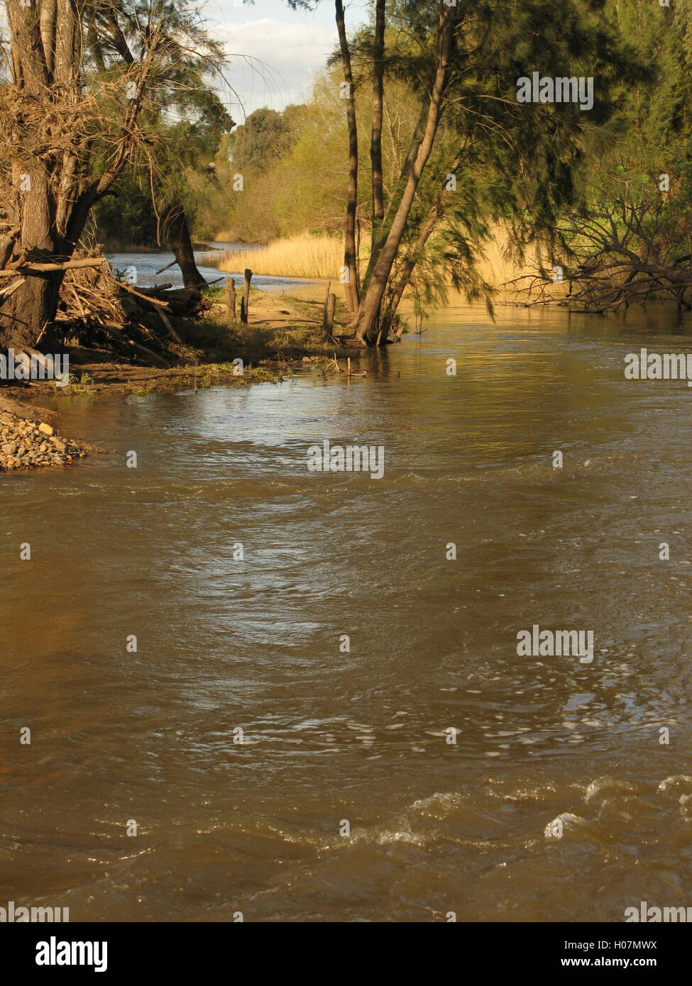 Hunter River, Singleton, New South Wales Stock Photo - Alamy